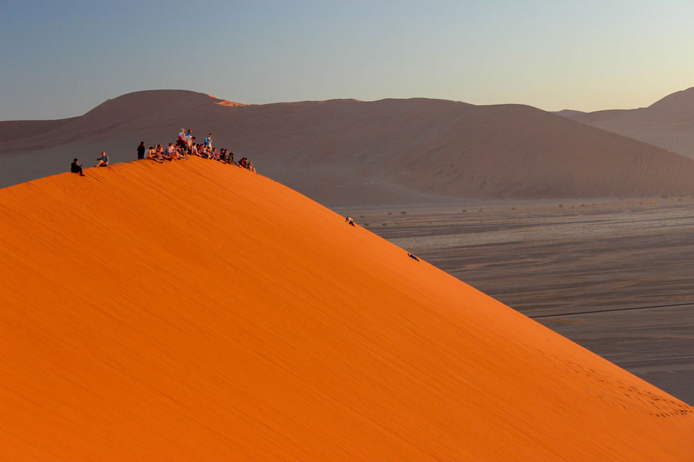 Namib Desert, Coast and Etosha | 7 Day Tour